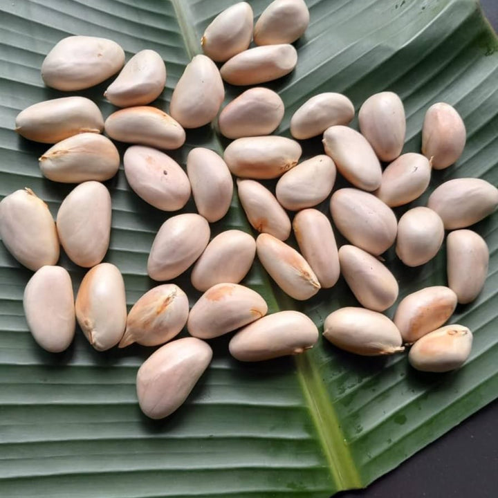 Bengali Vegetables – Good Food Bar
