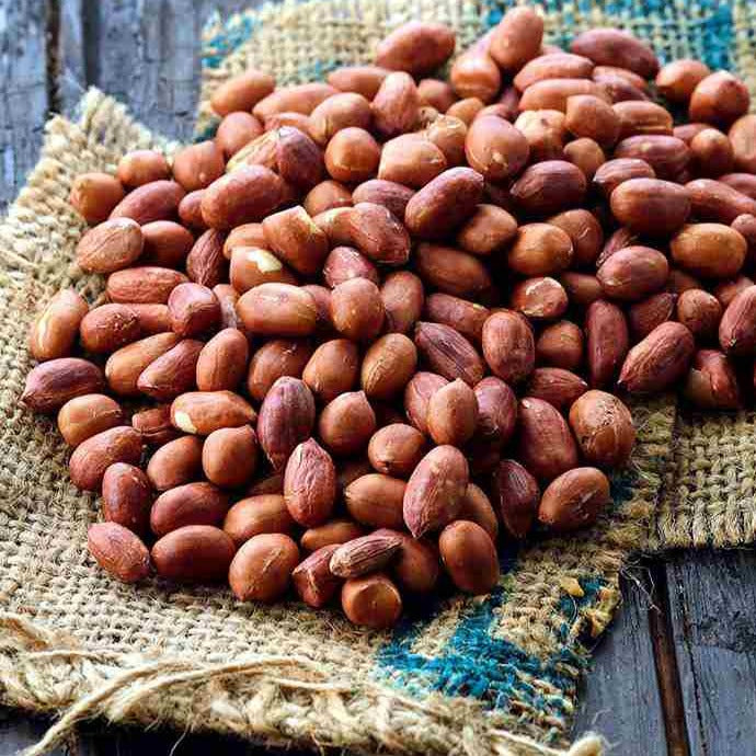 Roasted Peanuts / Bali Bhaja Badam (100g Pack) – Good Food Bar